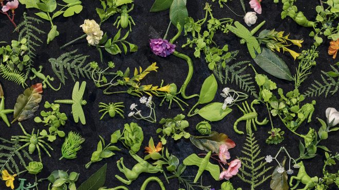 A Life Less Ordinary | Ashburton Art Gallery