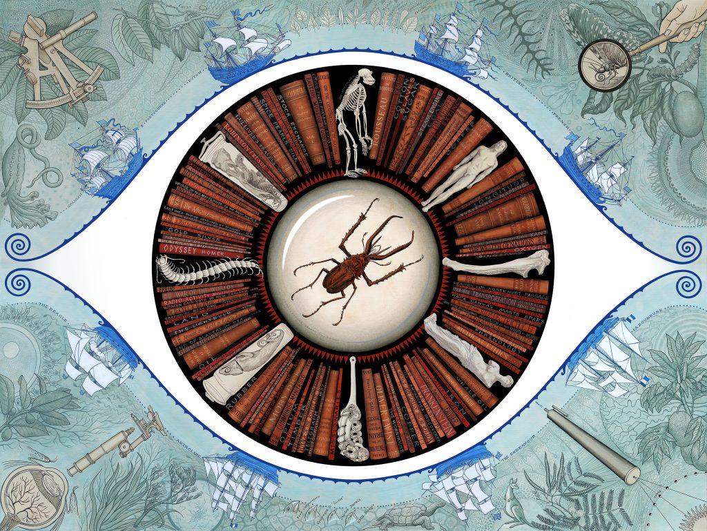 The Enlightenment Project (expanded) | Ashburton Art Gallery